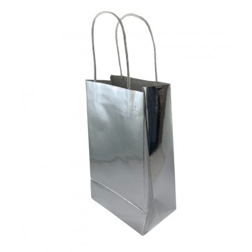 5pk Metallic Silver Paper Party Gift Bags | Everything Party
