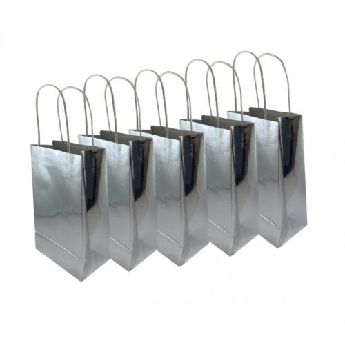 5pk Metallic Silver Paper Party Gift Bags | Everything Party