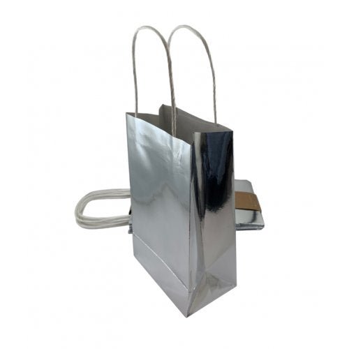 5pk Metallic Silver Paper Party Gift Bags | Everything Party